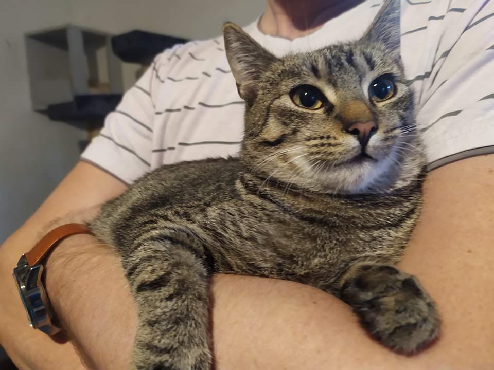 Příběh Mojita - Handipet Rescue
