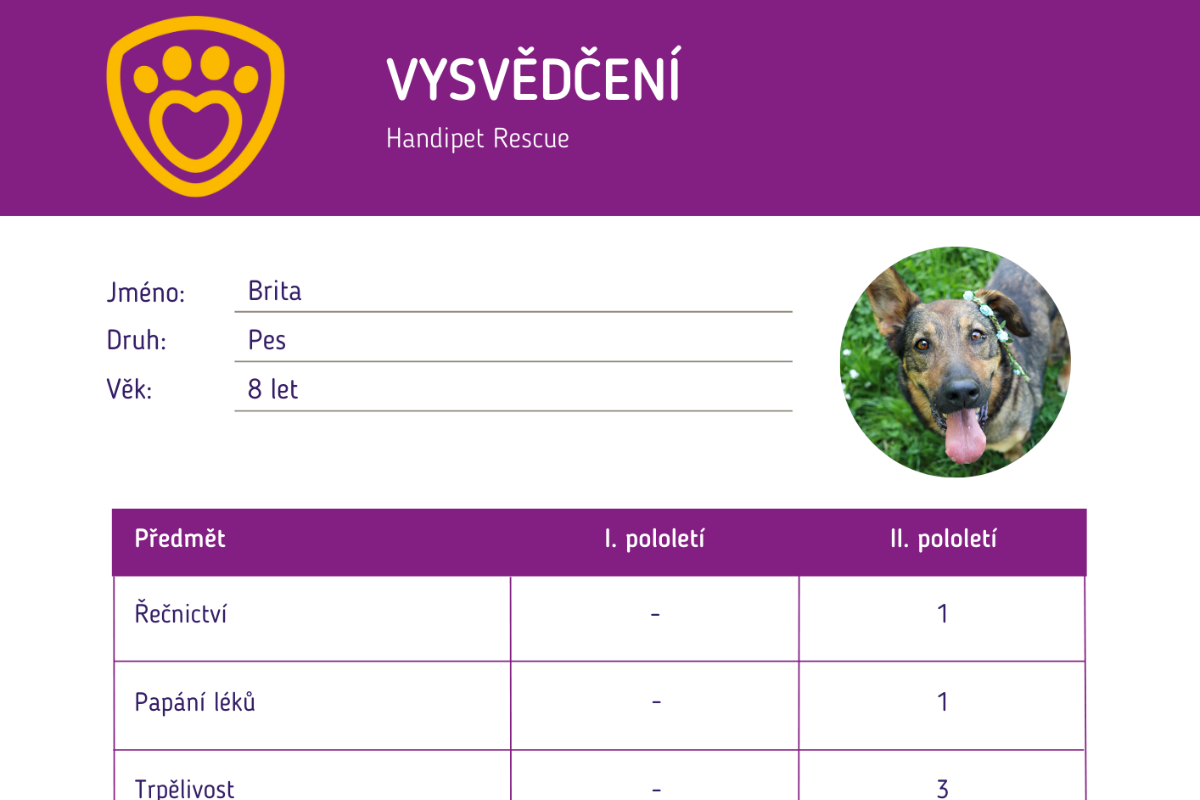 V Handipetu se rozdávalo závěrečné vysvědčení - Handipet Rescue